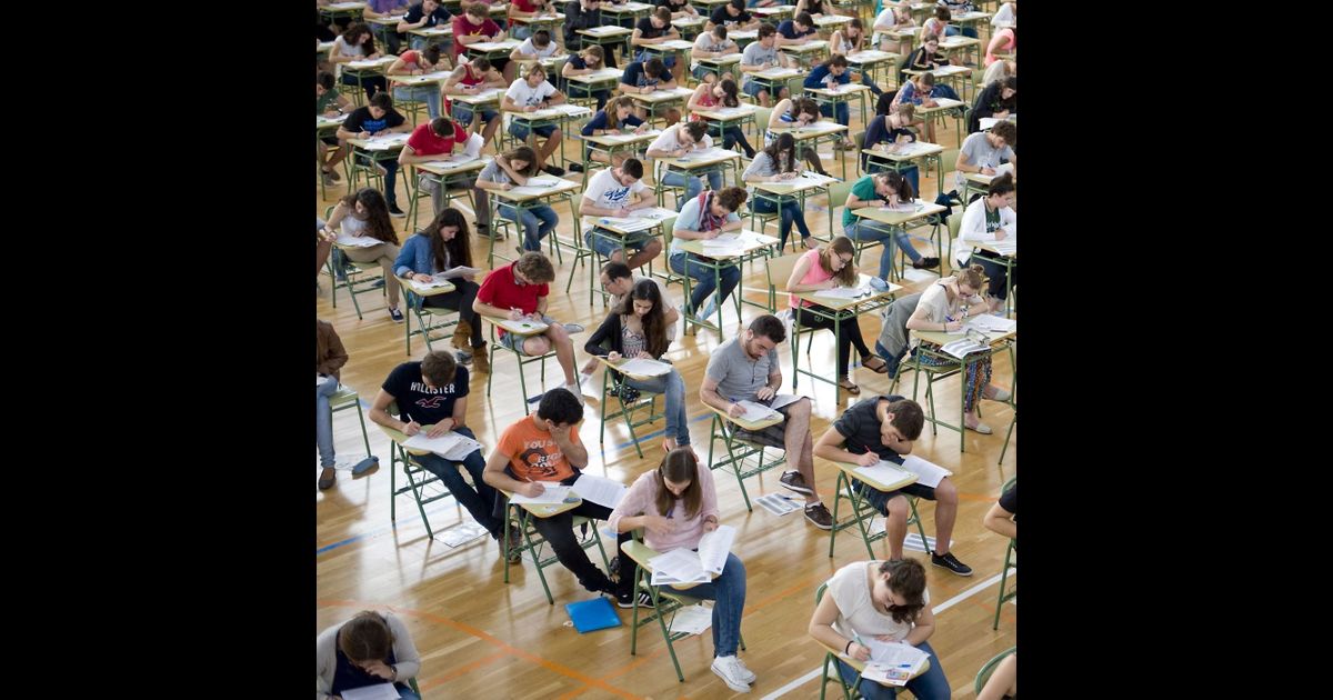 HSC 2021 | RedCircle