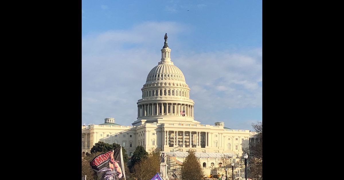 The Undiluted Truth | RedCircle