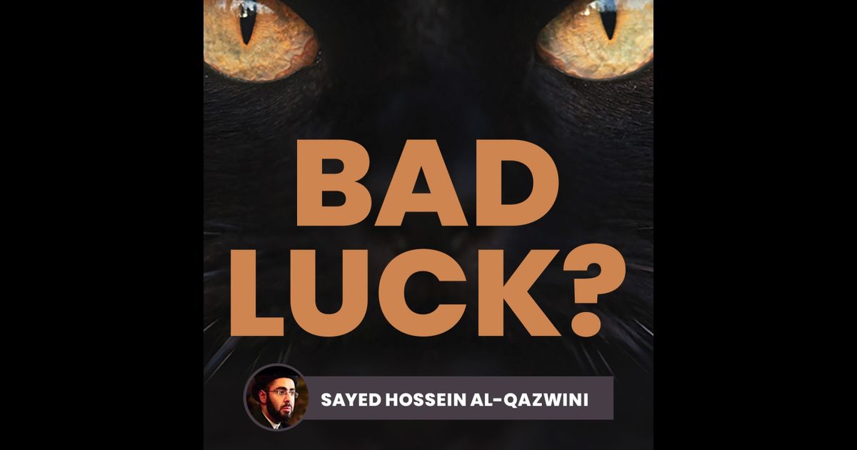 100 Days 100 Clips Challenge | RedCircle