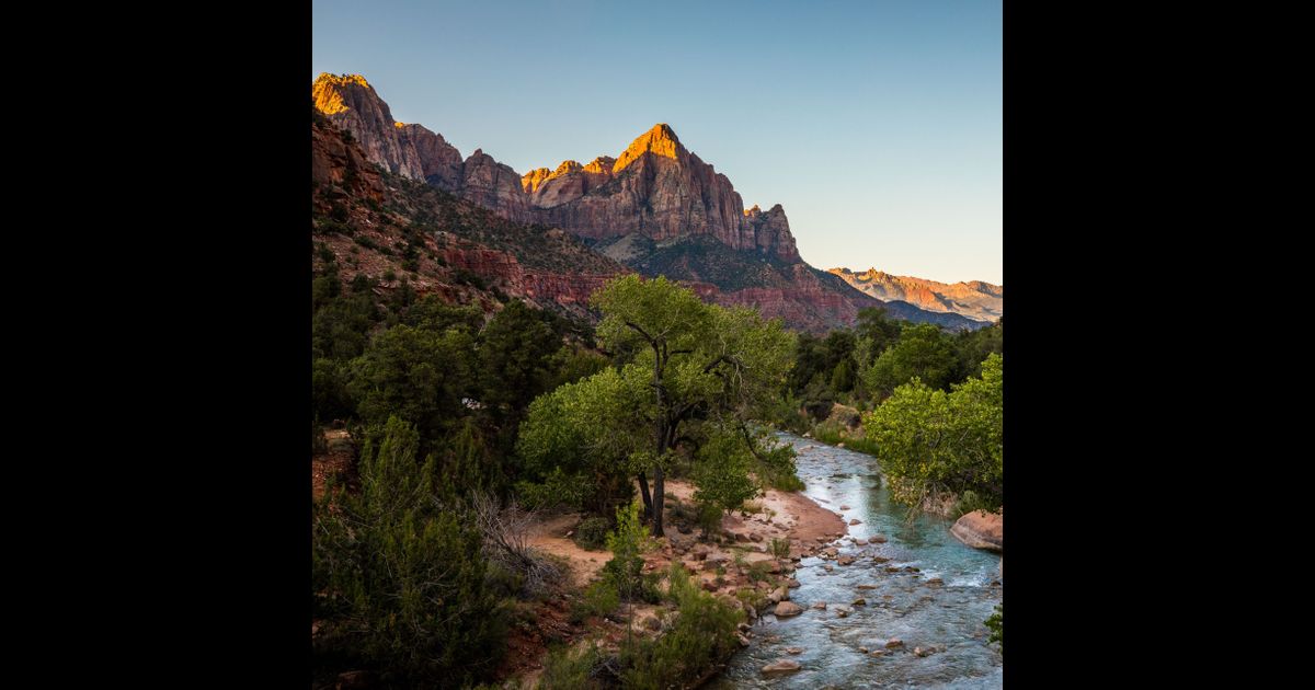 ACCOG.net | RedCircle