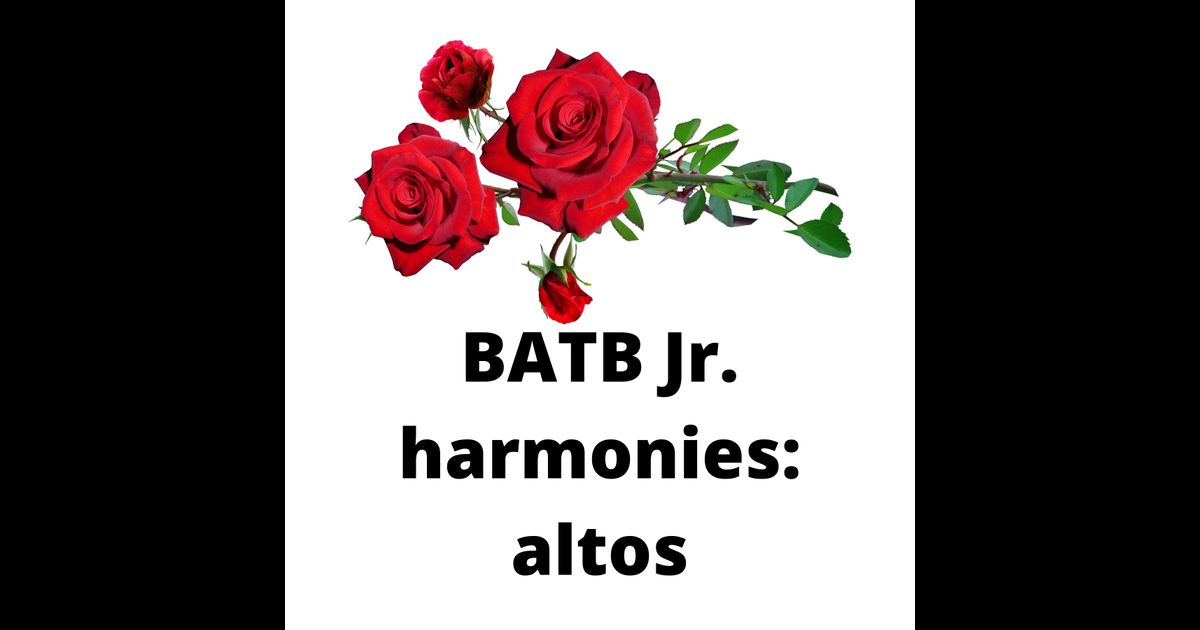 BATB JR HARMONIES ALTOS | RedCircle