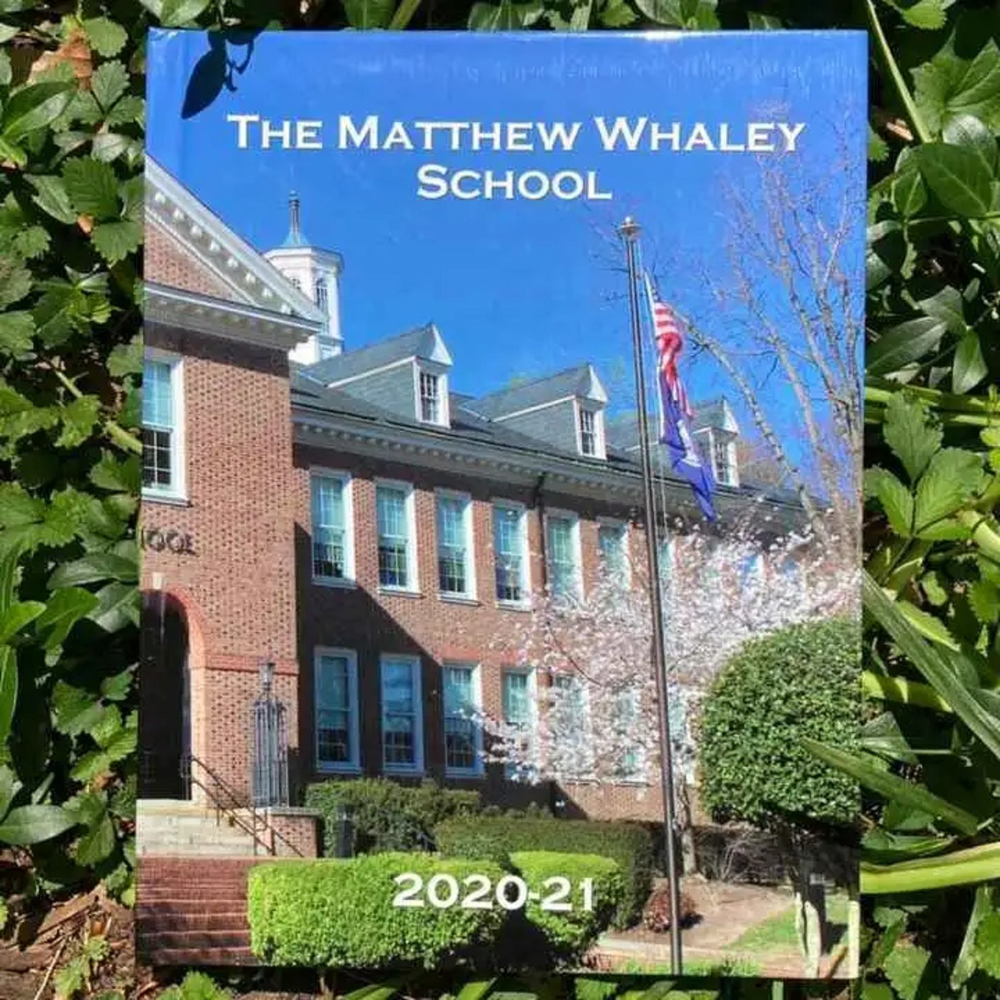 315 Matthew Whaley School from Hillbilly Horror Stories on Hark