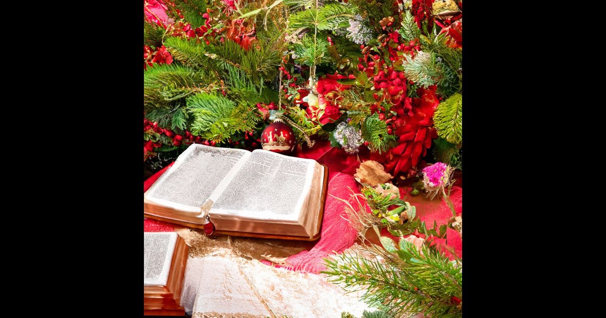 Daily December Devotional | RedCircle