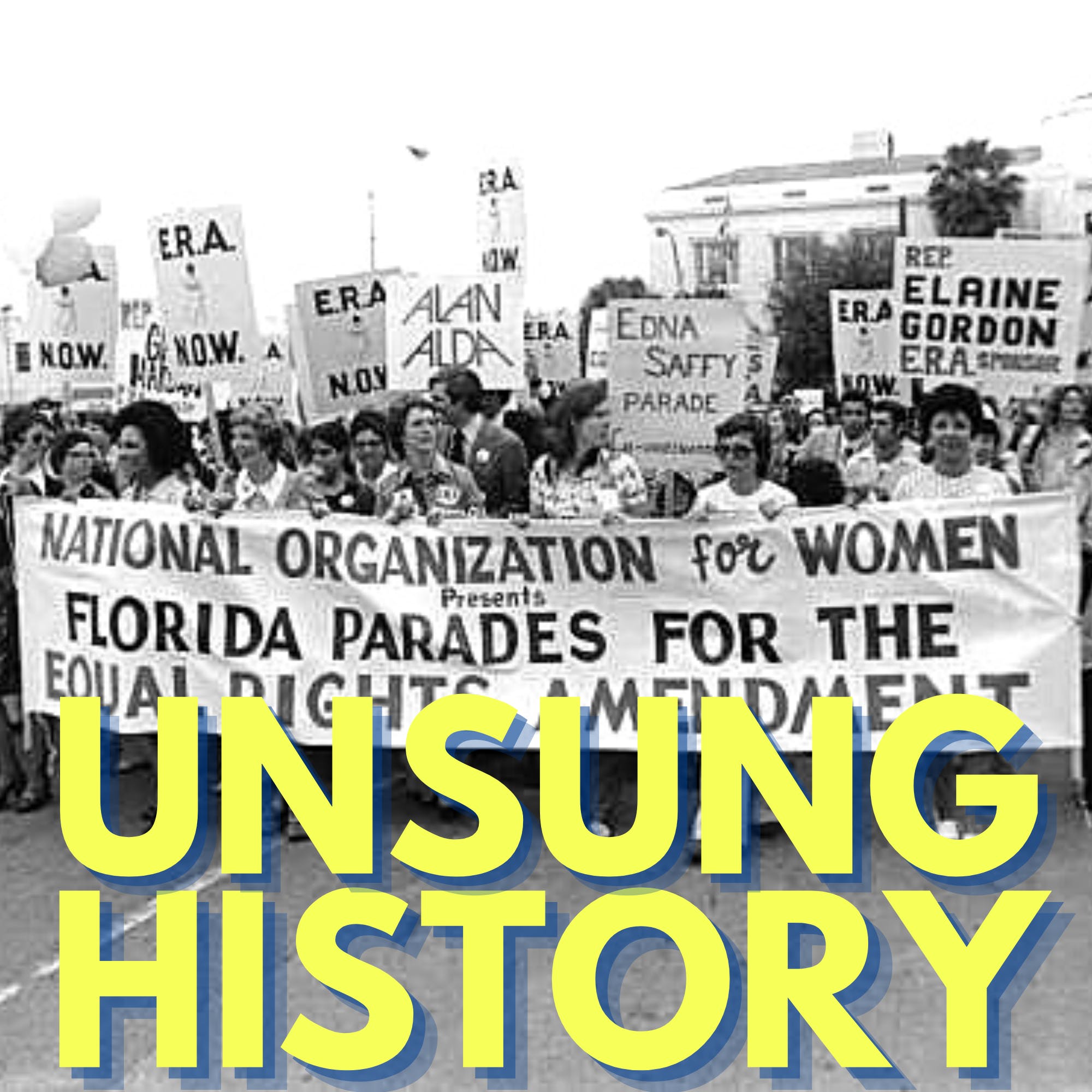 The History of the National Organization for Women (NOW) – Unsung ...