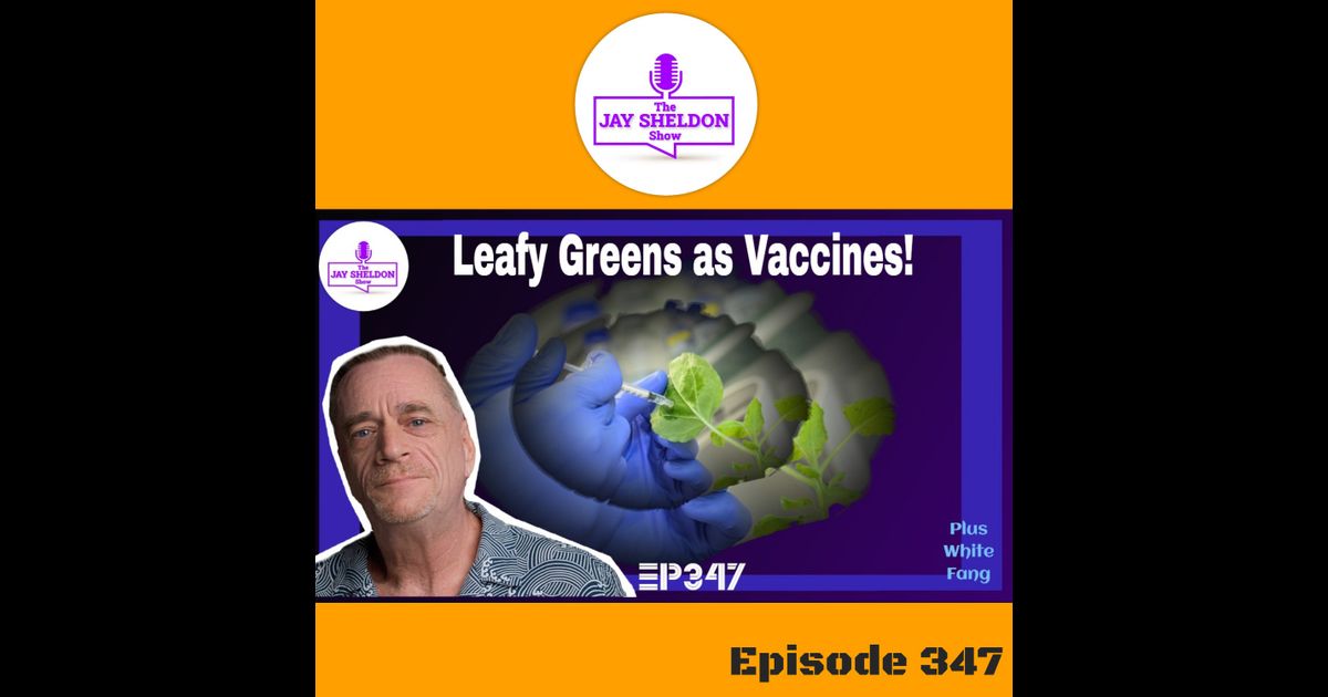 The Jay Sheldon Show | RedCircle