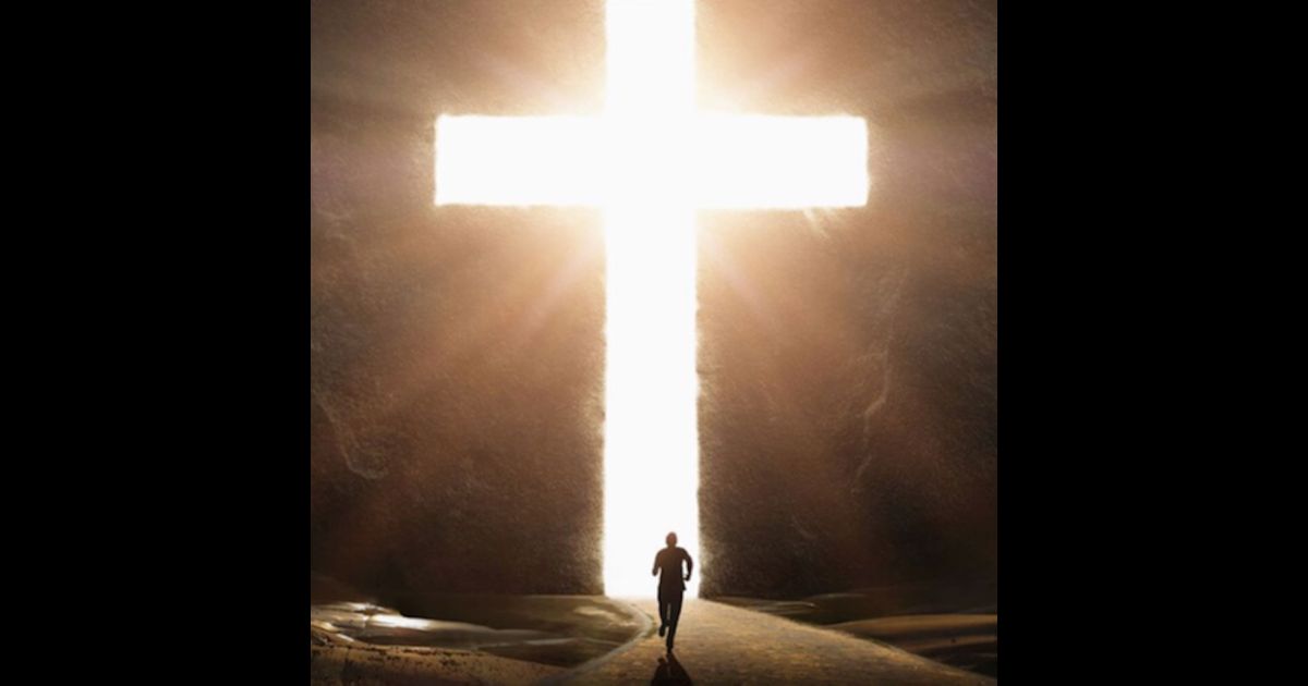 Fide Curre | RedCircle