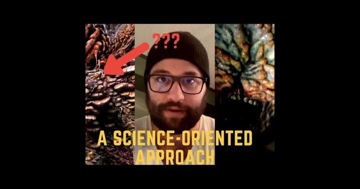 Generation Zed Podcast | RedCircle