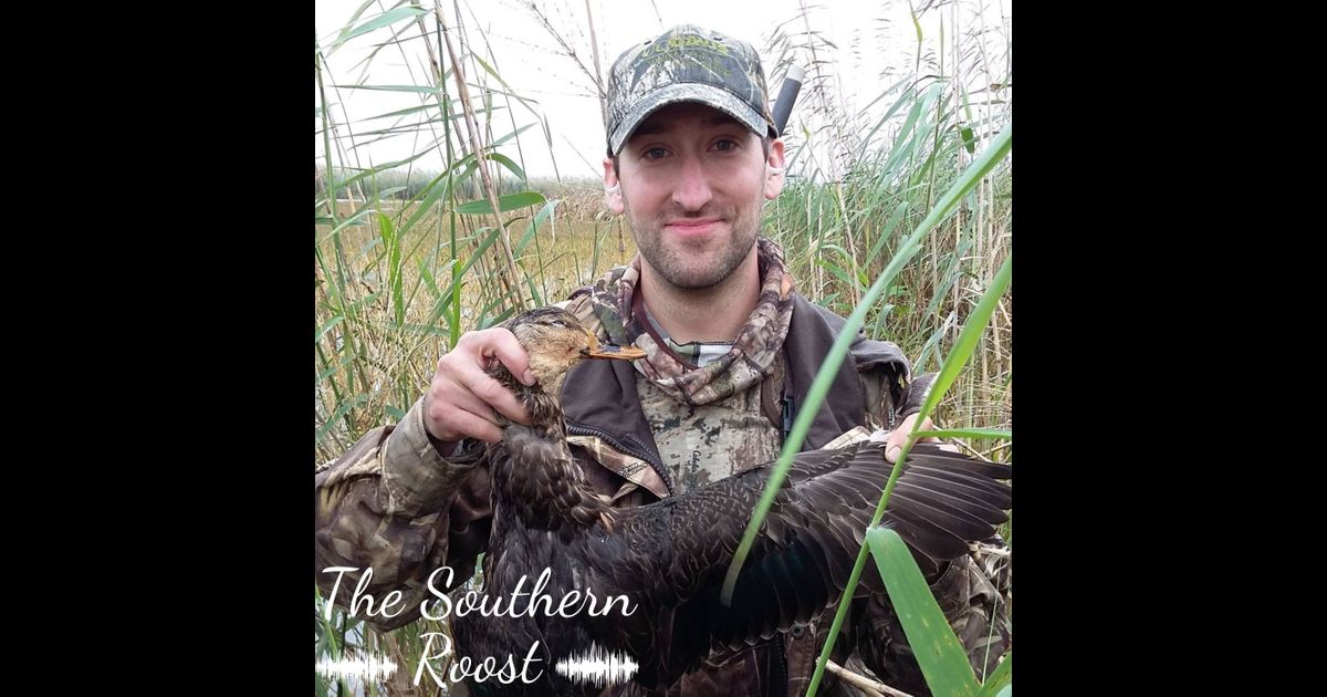 The Southern Roost | RedCircle