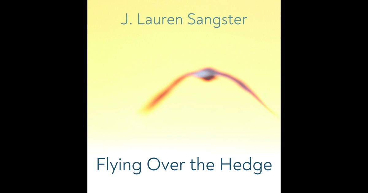 Flying Over the Hedge | RedCircle