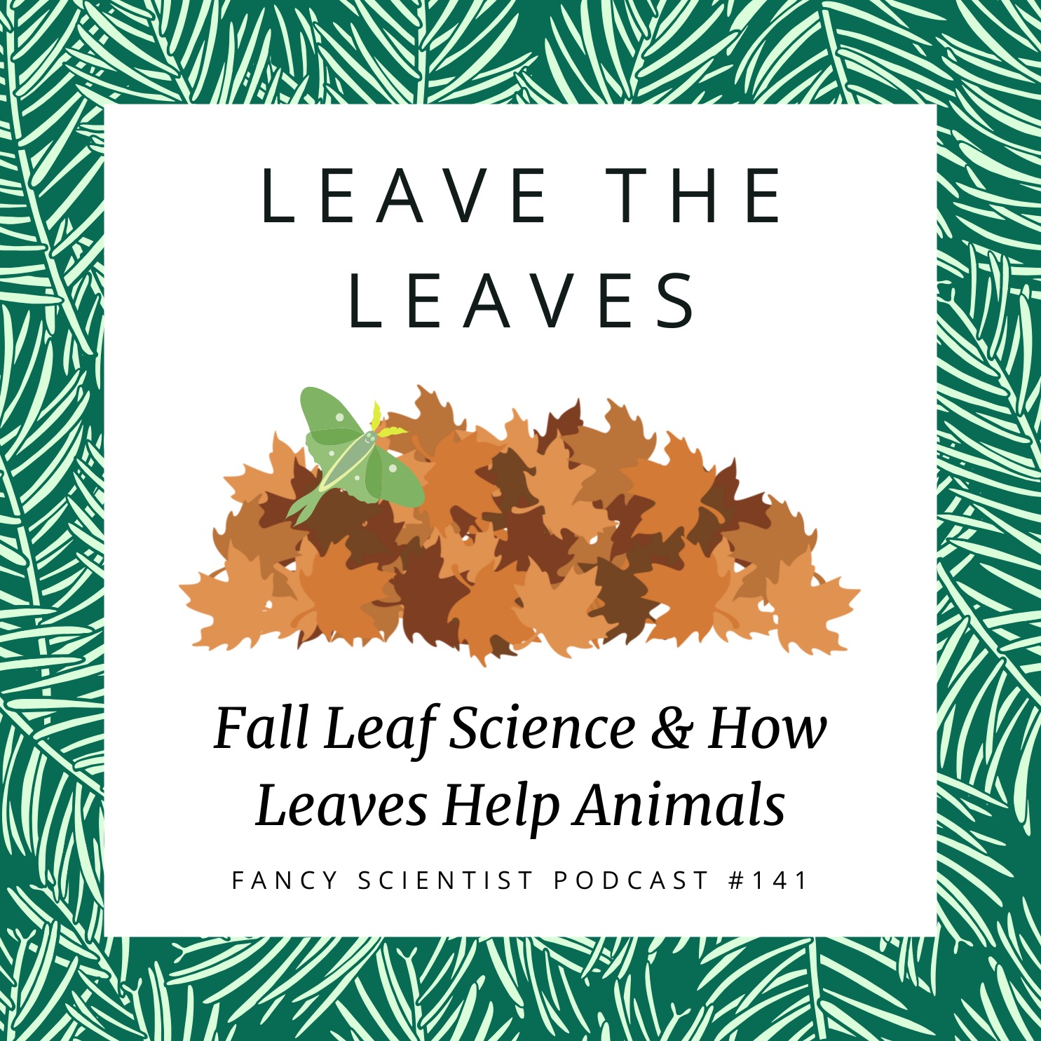 Leave the Leaves: Fall Leaf Science & How Leaves Help Animals ...