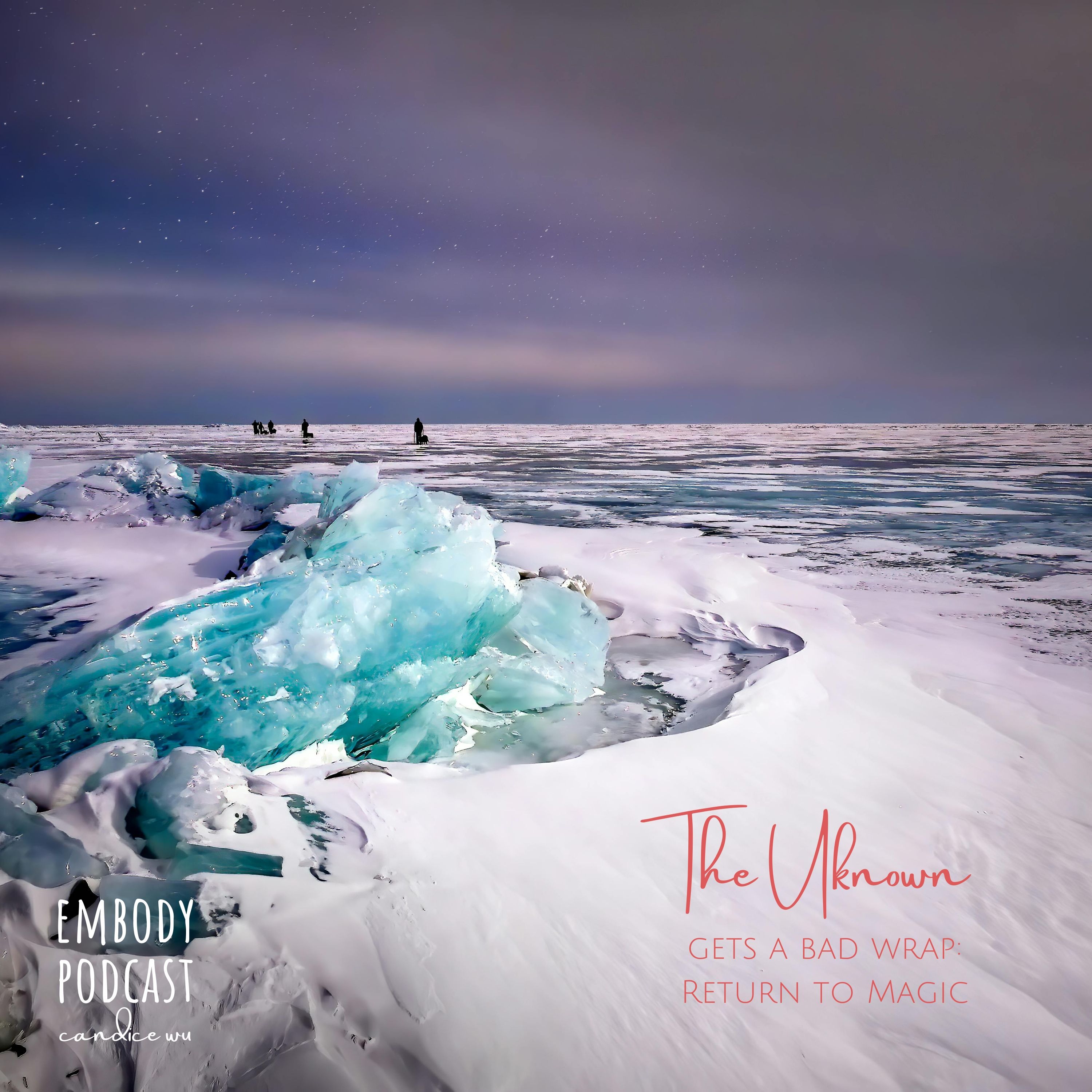 196: Reality Hopping: Master a New State Of Being & Manifest - The ...