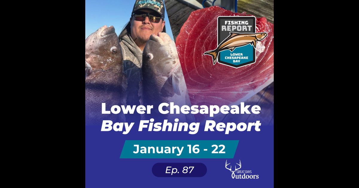 Lower Chesapeake Bay Fishing Report | RedCircle