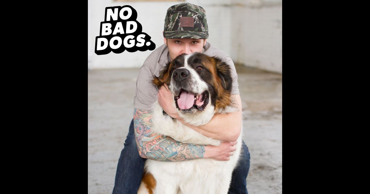 No Bad Dogs Podcast | RedCircle